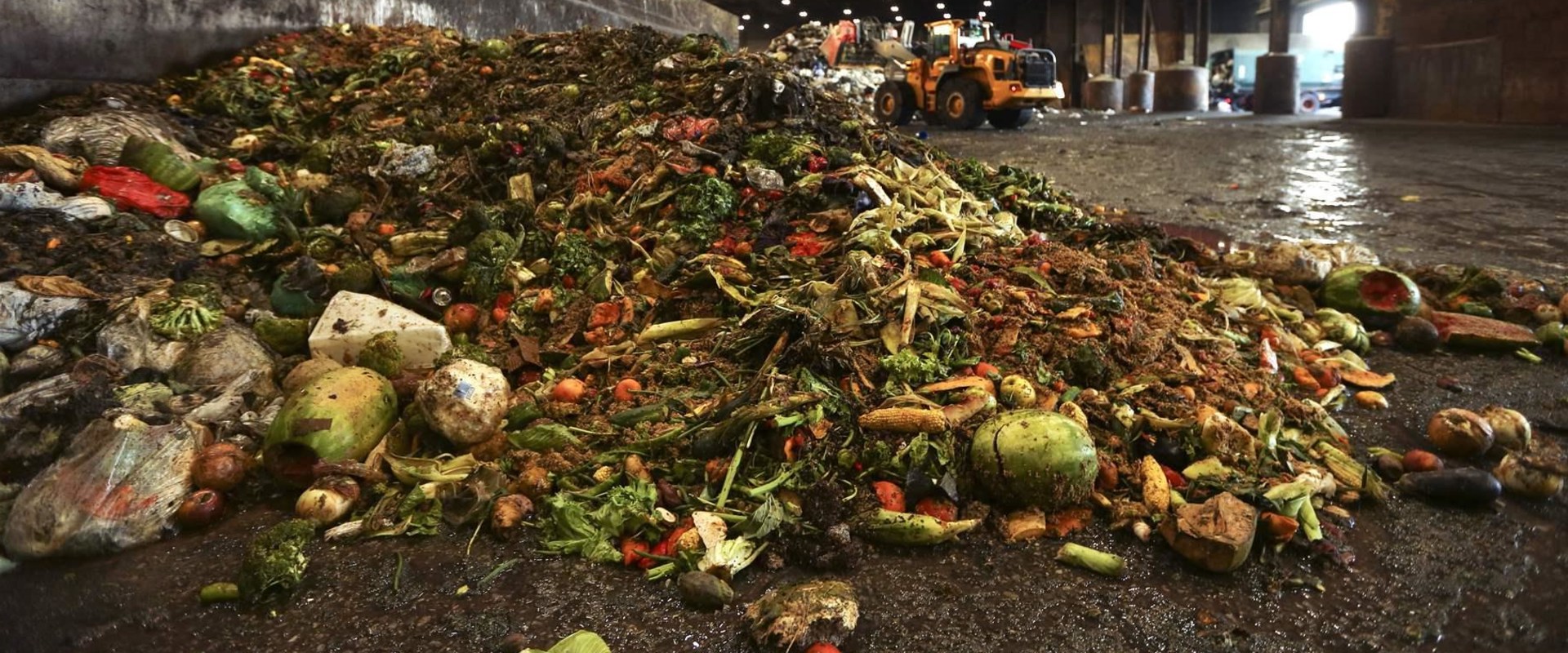 The Importance of Sustainable Waste Management in Northeast Tennessee