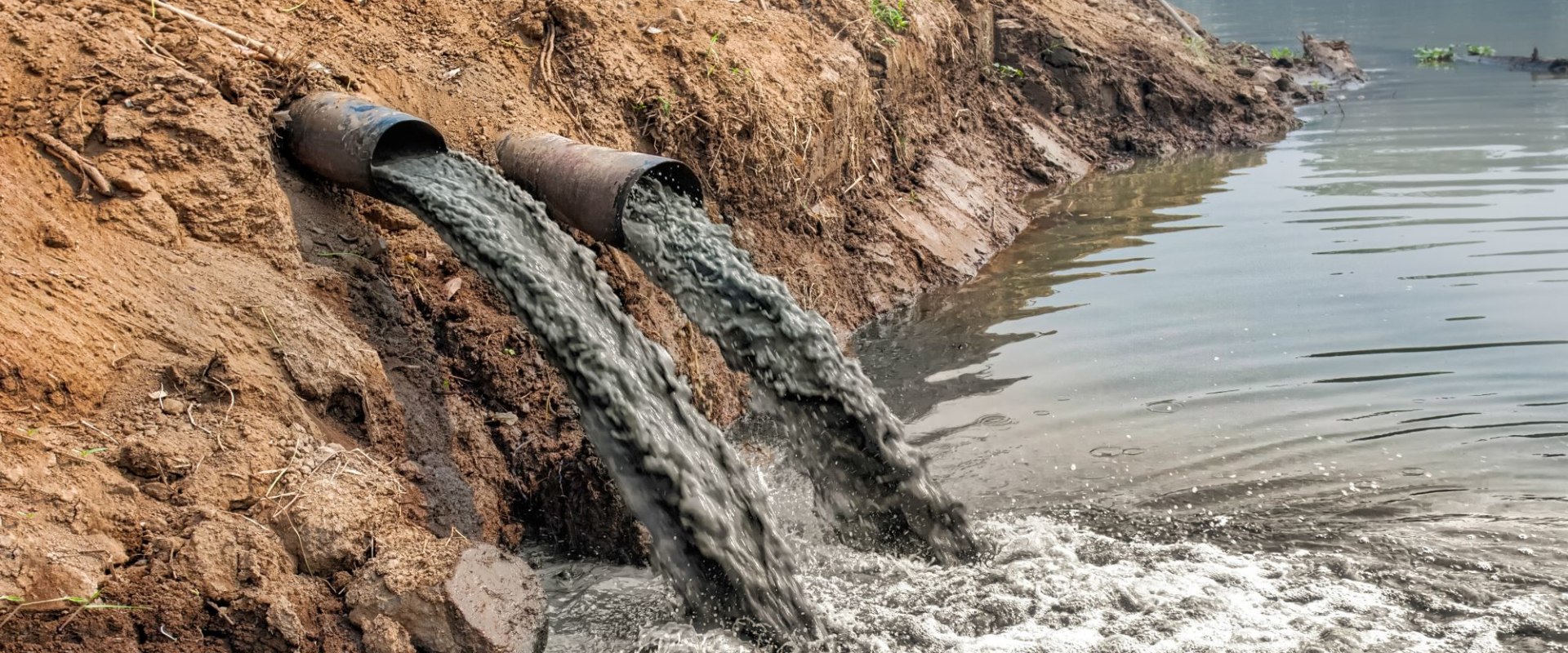 The Devastating Effects of Water Pollution in Northeast Tennessee