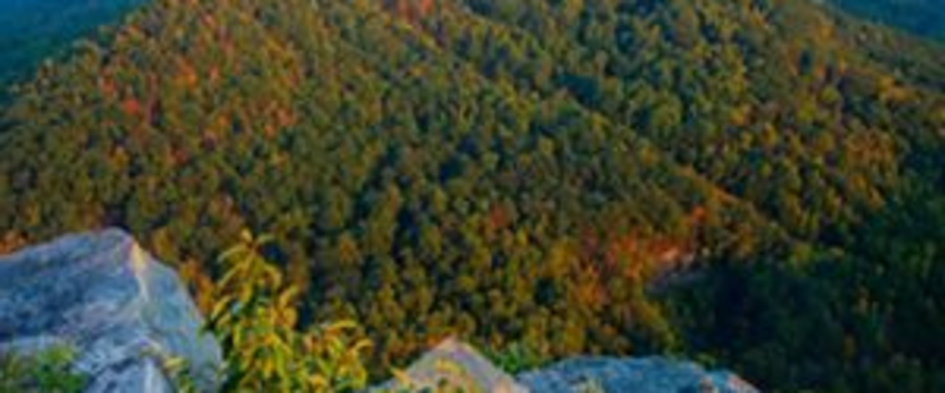 Preserving the Beauty of Northeast Tennessee: Successful Environmental ...