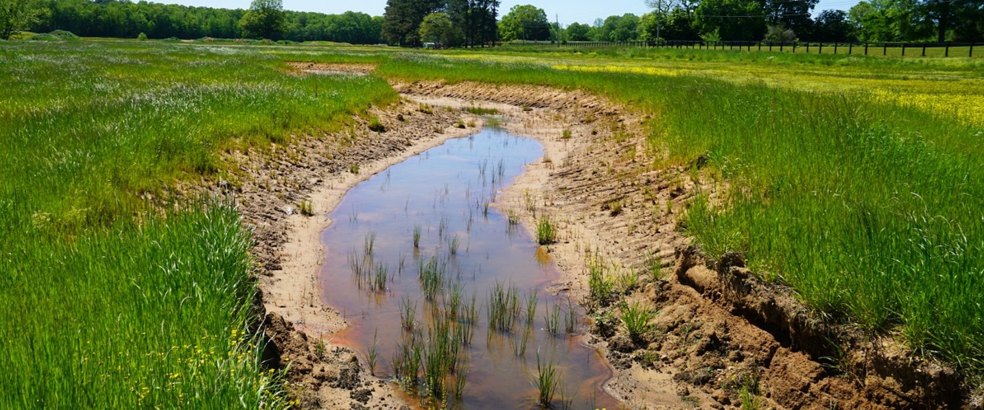 The Economic Impact of Environmental Conservation in Northeast Tennessee