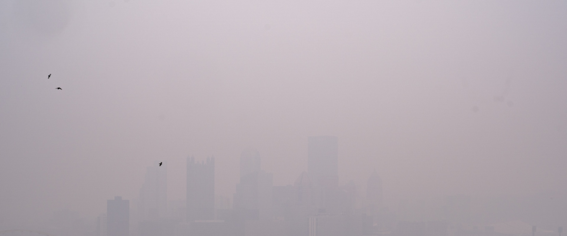 The Devastating Effects of Air Pollution on Northeast Tennessee